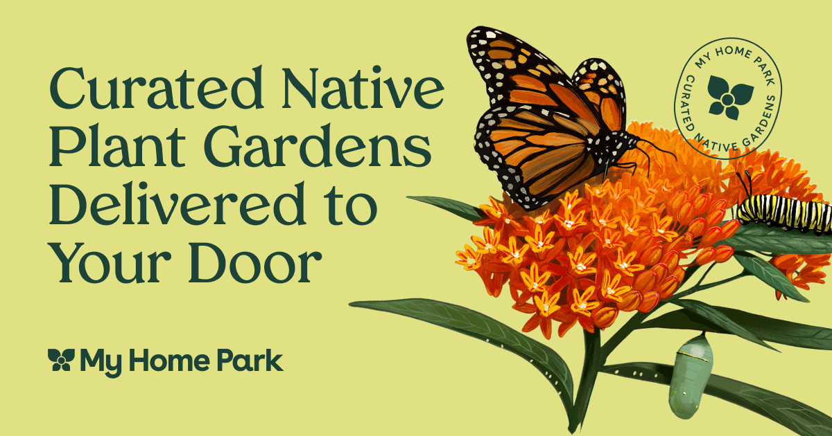 Missouri Native Plants List: 11 Amazing Wildflowers | My Home Park ... Missouri Native Plants List: 11 Amazing Wildflowers | My Home Park ...